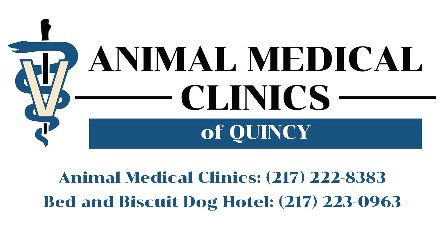 Services/Appointments- Animal Medical Clinics of Quincy